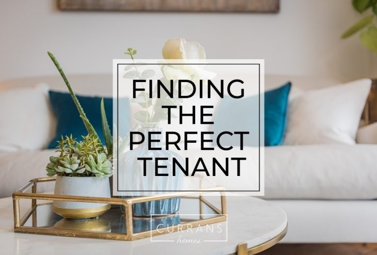 Multiple Occupancy (HMOs) vs. Single Lets – What's The Difference ...